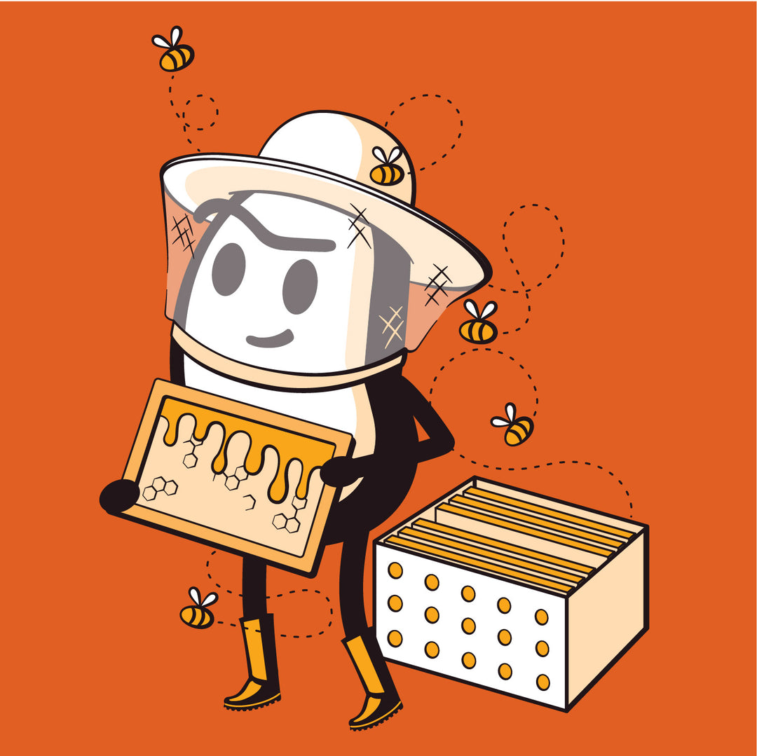 Collections – Serious Bean Co.